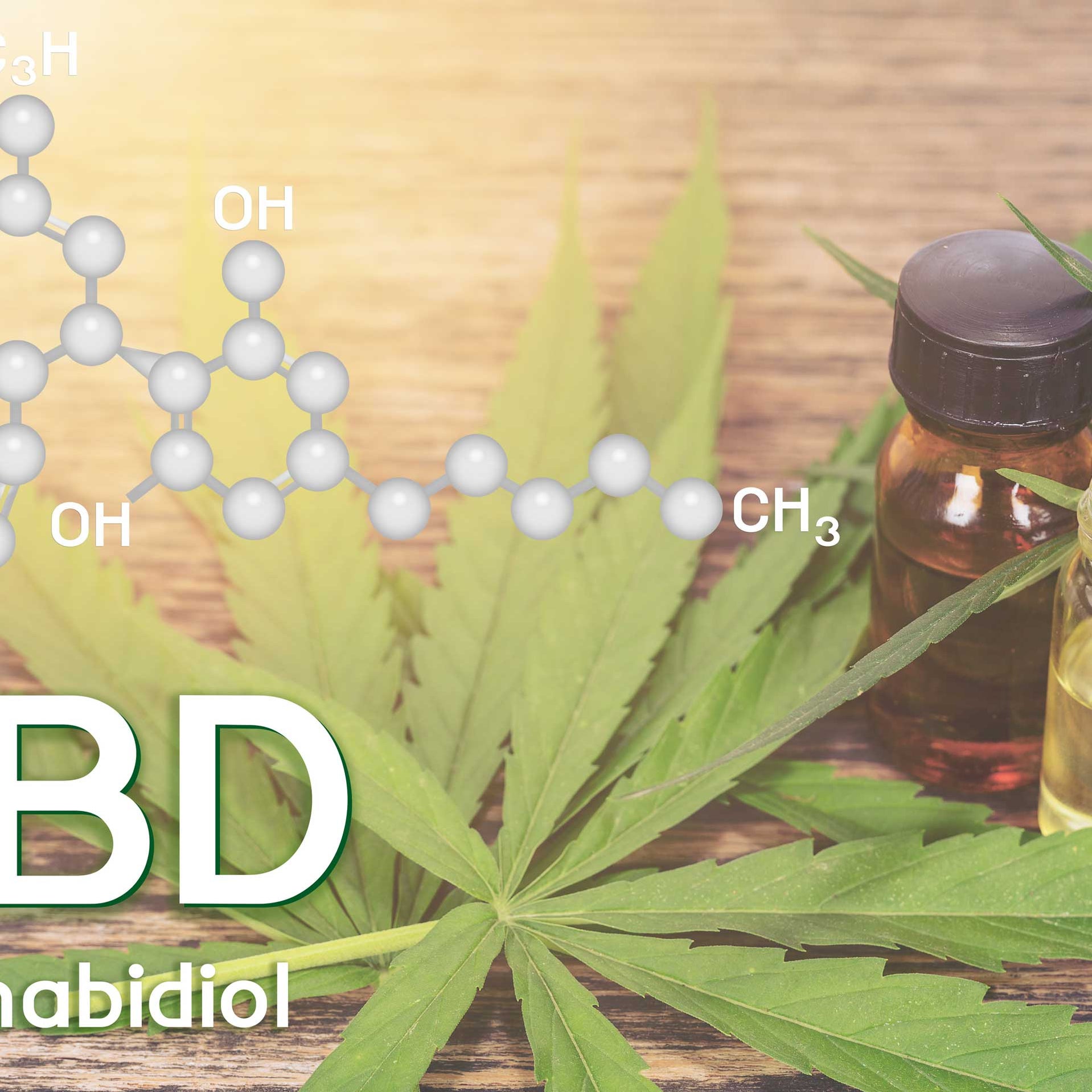 Innovative Beleuchtungs und Montagesysteme — Engel Lighting