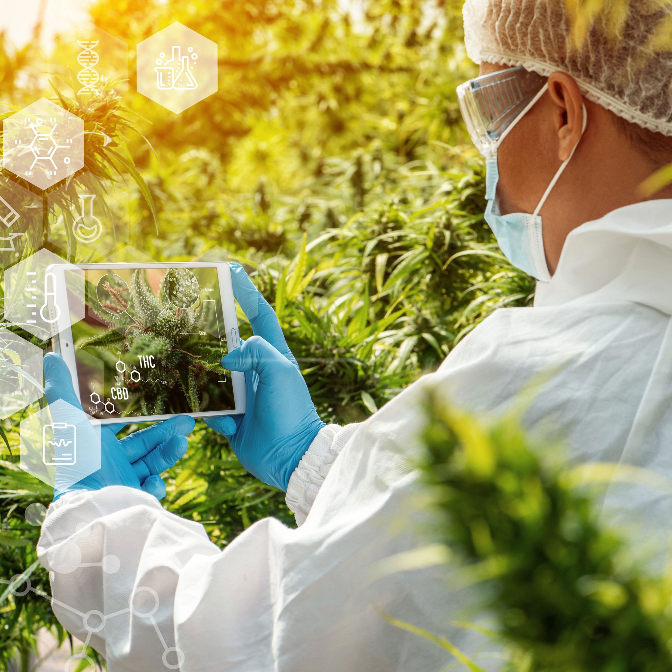 Innovative Beleuchtungs und Montagesysteme — Engel Lighting