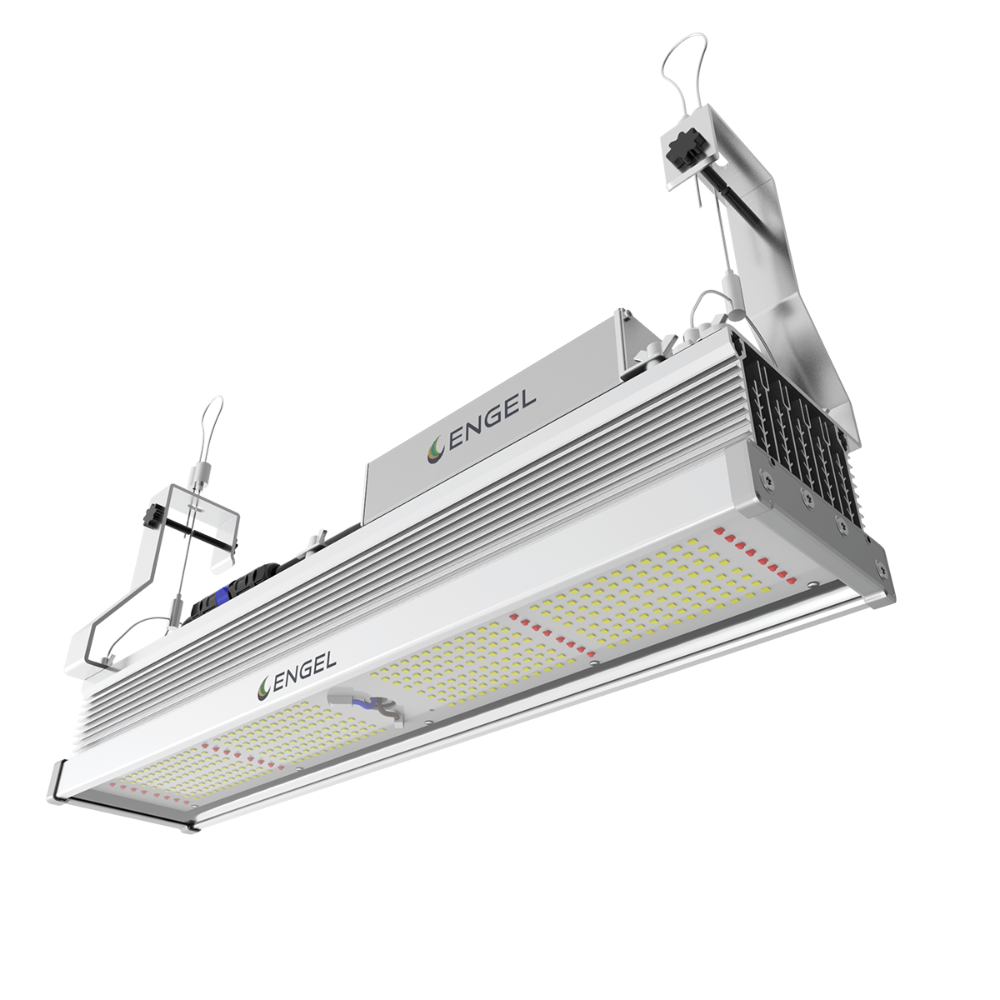 Optimus LED-Pflanzenleuchte 300W Vollspektrum — Engel Lighting